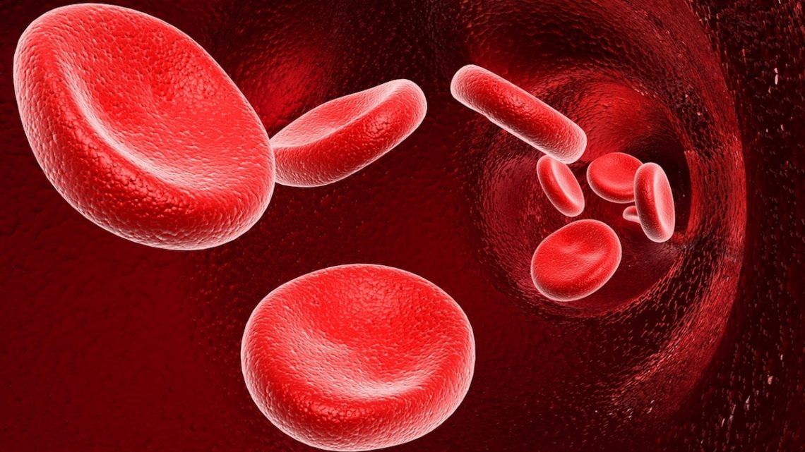 Top 6 Most Common Leukemia Symptoms | Things Health